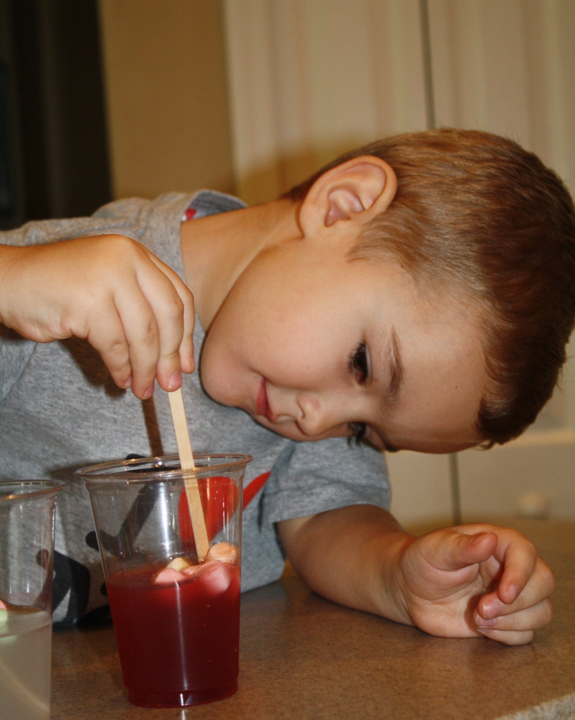 Marshmallow Science Experiment For Preschool And Kindergarten Marshmallow Science Experiment For Preschool And Kindergarten
