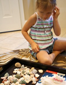 Shell Activities for Kids