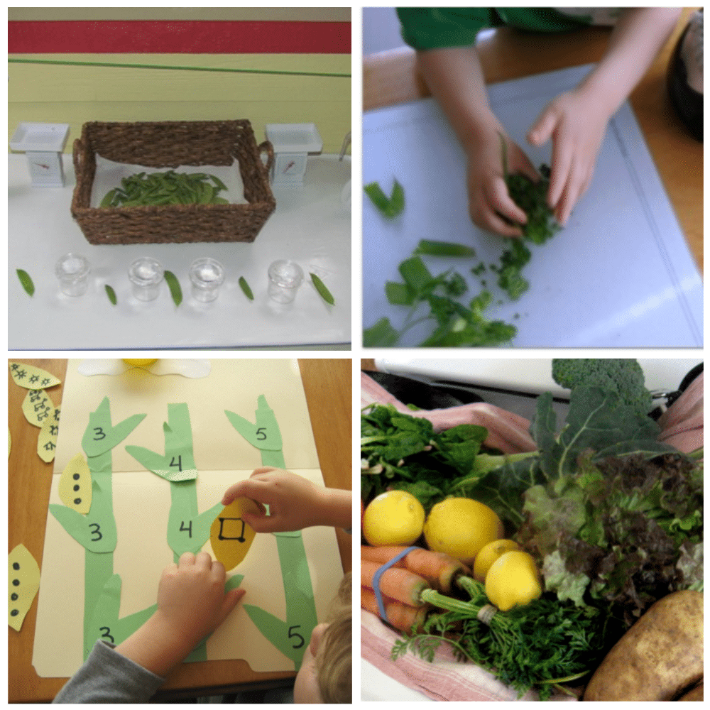 50 Vegetable Activities For Kids In Preschool And Kindergarten
