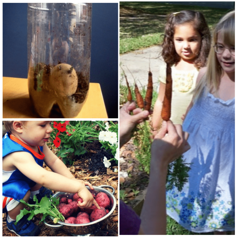 50 Vegetable Activities for Kids in Preschool and Kindergarten