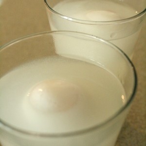 Floating Egg Science Experiment-Comparing Eggs