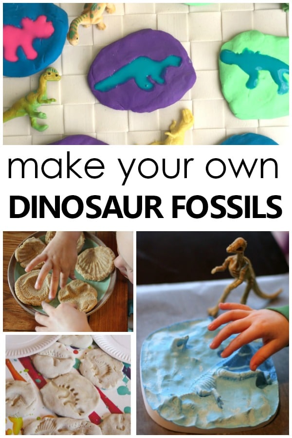 Fun Fossil Activities For Kids