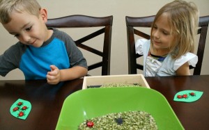 Ladybug Math Game - Fantastic Fun & Learning