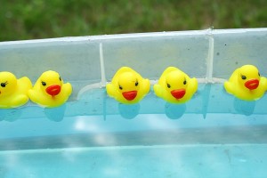 Duck Race Fine Motor Sensory Play - Fantastic Fun & Learning