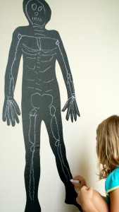 Chalk Skeleton Craft - Fantastic Fun & Learning