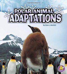 Polar Animal Books - Fantastic Fun & Learning
