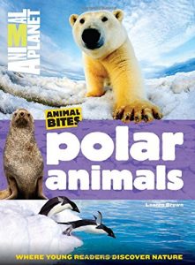 Polar Animal Books - Fantastic Fun & Learning