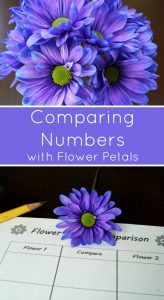 Comparing Numbers with Flower Petals - Fantastic Fun & Learning