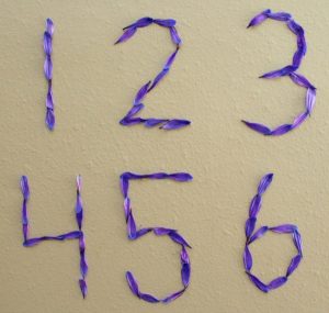 Sticky Flower Garden Number Activity - Fantastic Fun & Learning