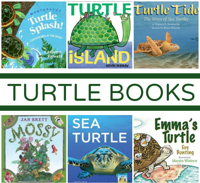 Turtle Books - Fantastic Fun & Learning