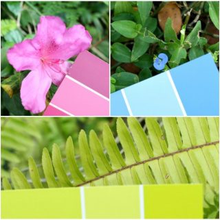 Fun Outdoor Scavenger Hunts for Kids