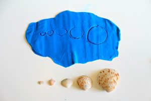 Seashell Science and Math - Fantastic Fun & Learning