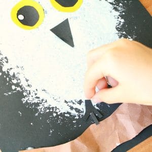 Snowy Owl Winter Craft for Kids - Fantastic Fun & Learning
