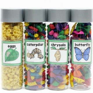 Insect Theme Preschool Activities - Fantastic Fun & Learning