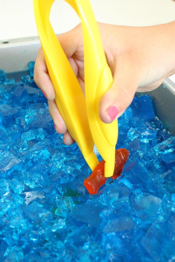 Edible Fish Small World Sensory Play Fantastic Fun Learning Edible Fish Small World Sensory Play Fantastic Fun Learning