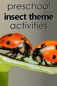 Insect Theme Preschool Activities - Fantastic Fun & Learning