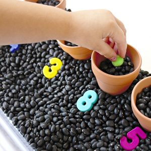 Counting Seeds Gardening Sensory Bin - Fantastic Fun & Learning