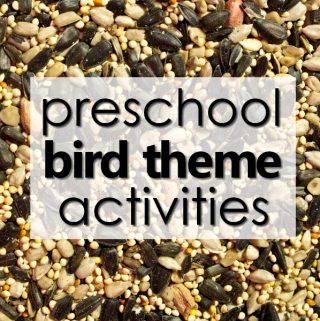Bird Theme Preschool Activities - Fantastic Fun & Learning