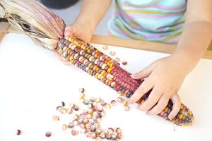 Indian Corn Math and Art Thanksgiving Project - Fantastic Fun & Learning