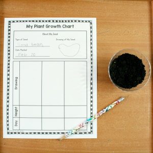Plant Tracking Sheet for Kids - Fantastic Fun & Learning
