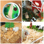 20 Farm Small World Play Ideas for Kids