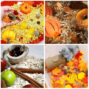 20 Must-Try Fall Theme Sensory Bins - Fantastic Fun & Learning