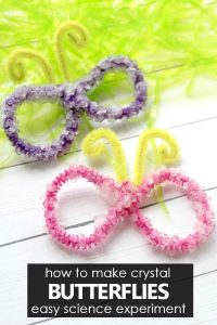 Crystal Butterfly Craft - Fantastic Fun & Learning