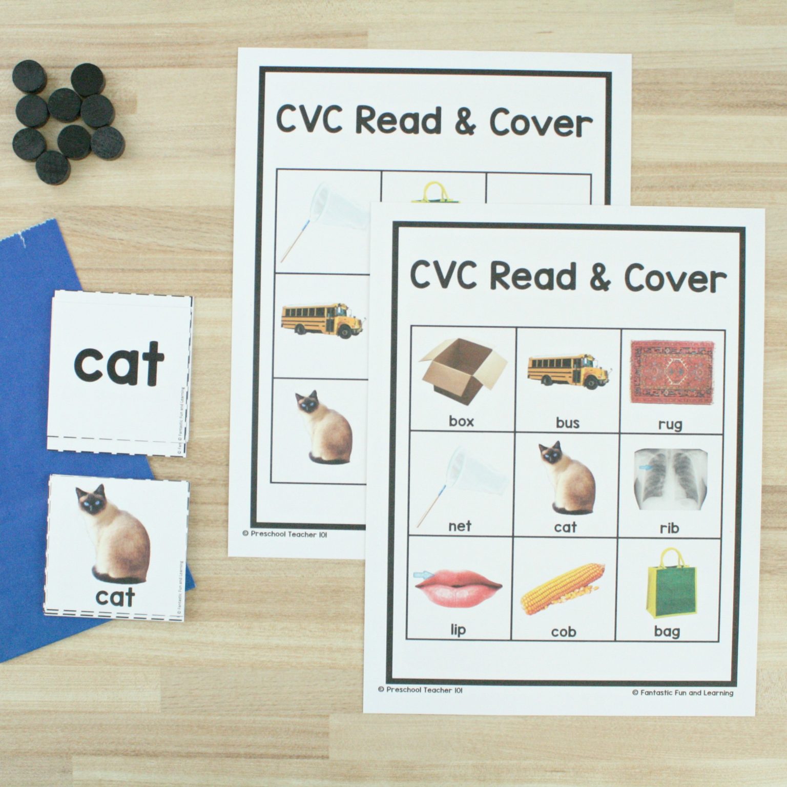 Free Printable CVC Word Game - Fantastic Fun & Learning