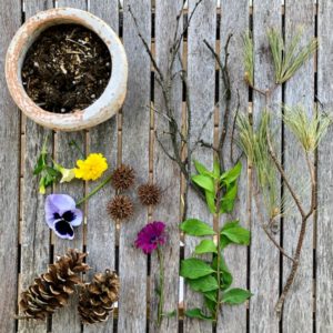 Build a Small World with Nature - Fantastic Fun & Learning