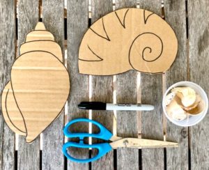 Seashell Art for the Senses - Fantastic Fun & Learning