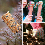 Science Activities with Cardboard Tubes - Fantastic Fun & Learning