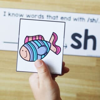 Ending Digraph Phonemic Awareness Picture Sort for PreK and K
